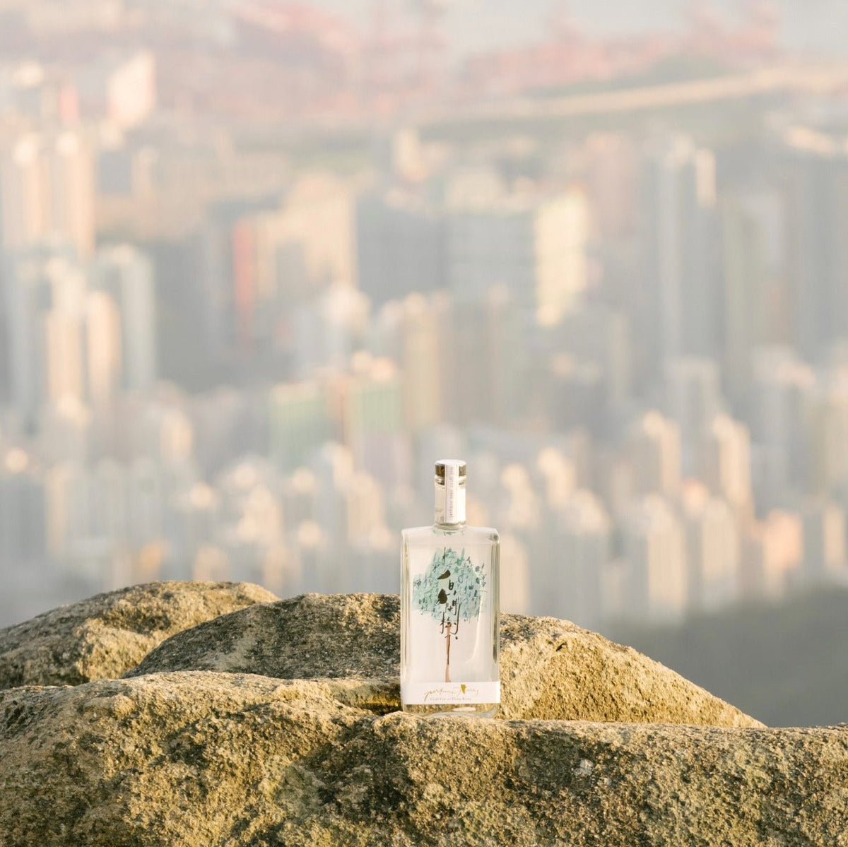 白蘭樹下 Perfume Trees Gin 500ml – Urban Coffee Roaster